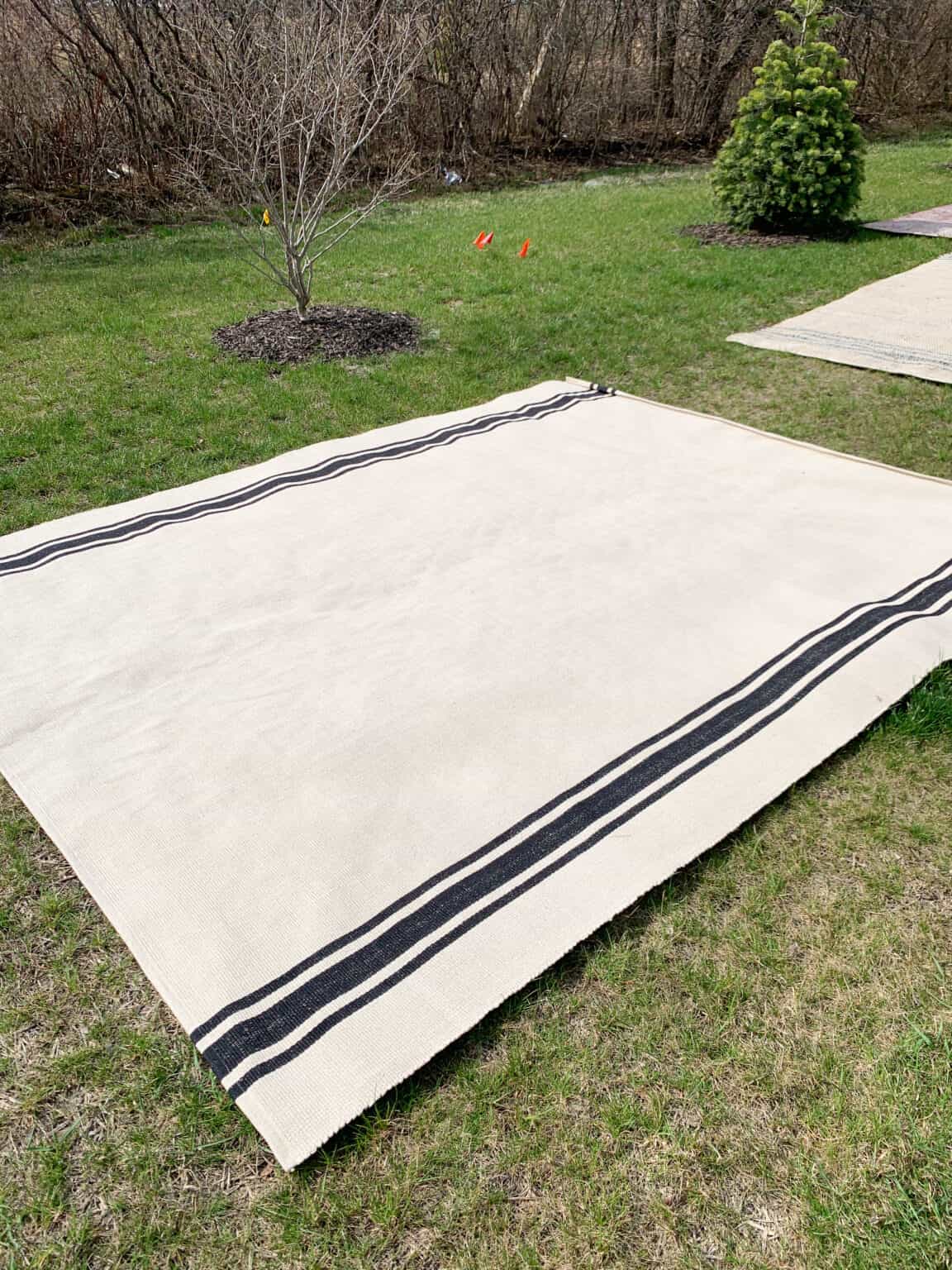 The Absolute Best Cheap Rugs That Look Expensive - By Sophia Lee