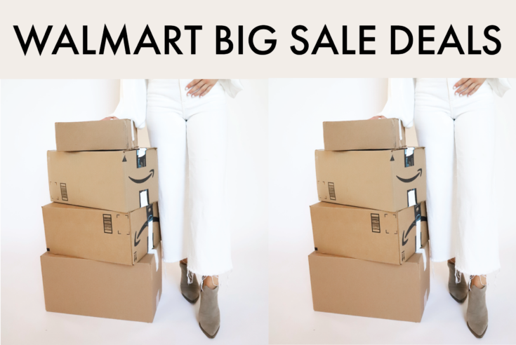Best Walmart Deals | Walmart’s Big Save 2021 - By Sophia Lee