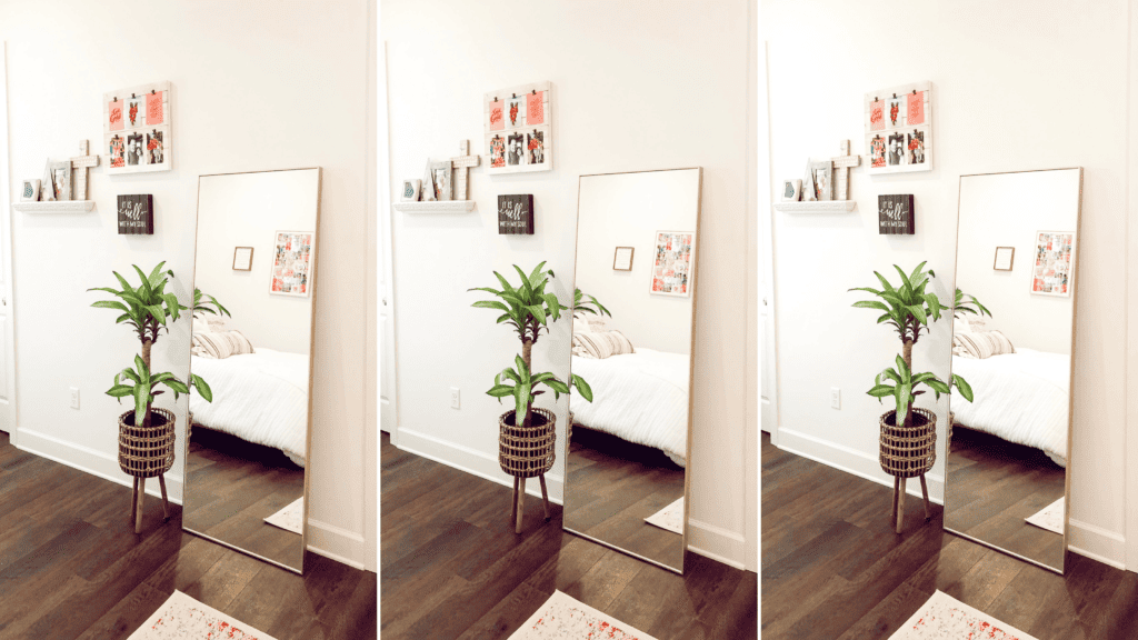 The Ultimate Guide To Your First College Apartment | Decor, Tips, And ...