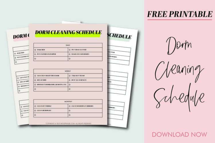 The Best Dorm Cleaning Schedule (FREE PRINTABLE) - By Sophia Lee