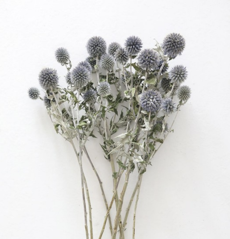 The Hands-Down Best Fake Flowers (that look REAL) - By Sophia Lee