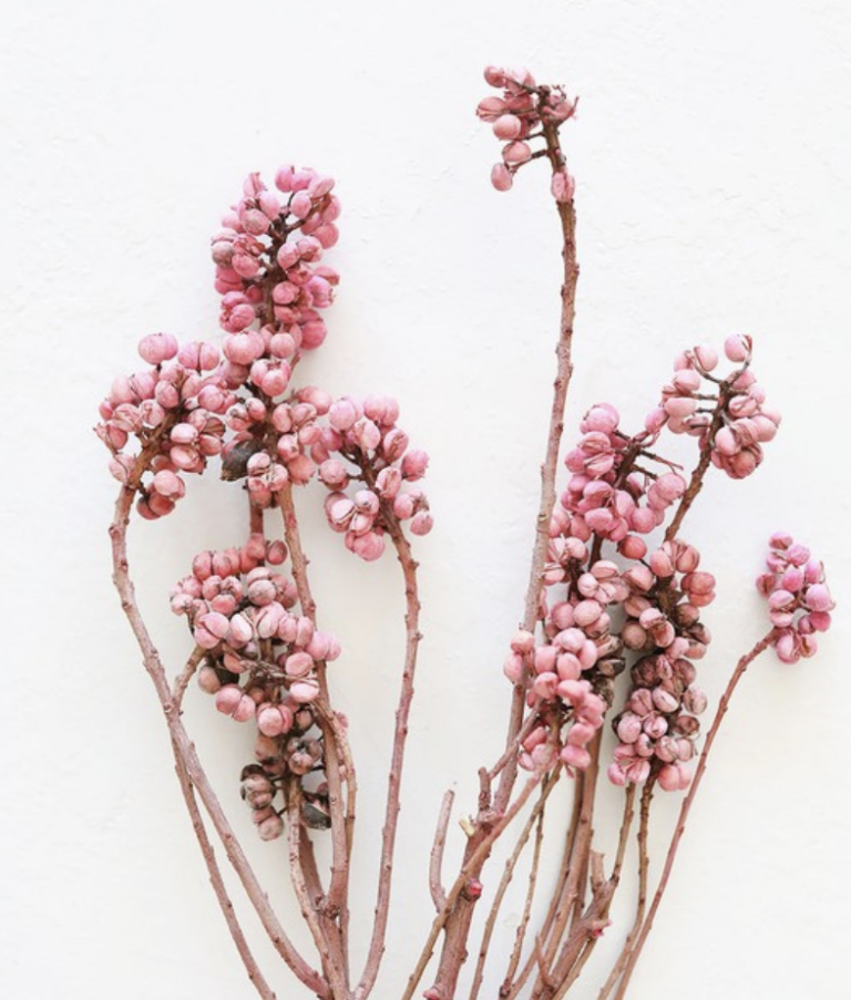 The Hands-Down Best Fake Flowers (that look REAL) - By Sophia Lee