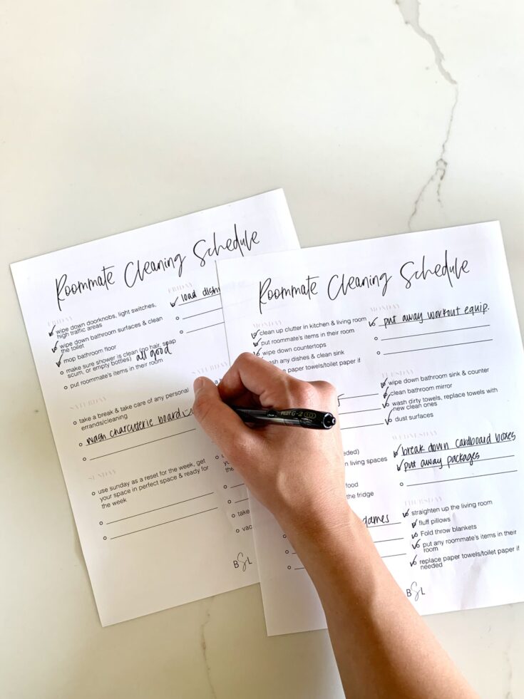 The Ultimate Roommate Cleaning Schedule To Keep Your Space Constantly ...