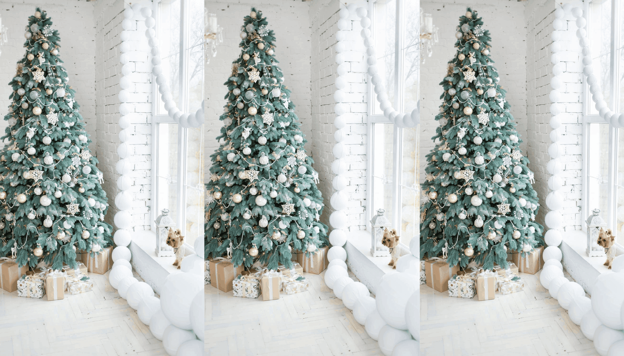 37+ Trendy Gift Ideas for Everyone in Your Life - By Sophia Lee